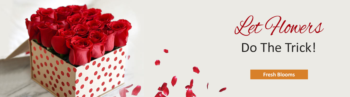 Flower Delivery Online | India’s Leading Florist - MyFlowerTree
